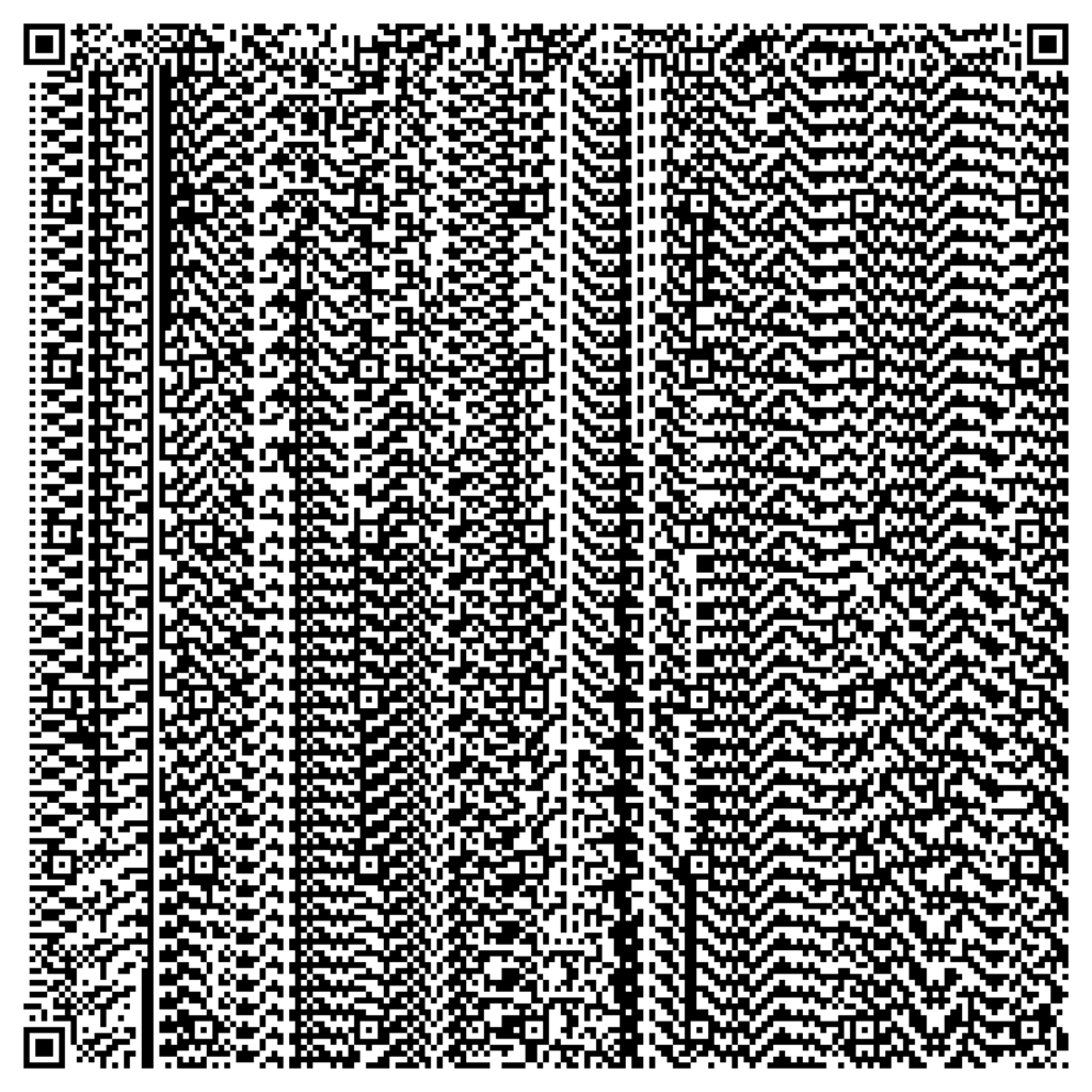 Python たった3行でQRコード作成 | Ahiruプログラミング